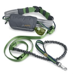 5 Best Dog Leash Picks For Running (Updated 2018 Review)