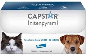 Everything You Need To Know About Capstar For Dogs | Herepup