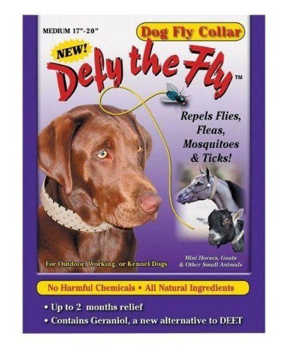 Best Flea Collar for Dogs: Stop The Scratching!