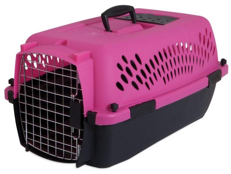 The Best Airline Approved Dog Carriers for Traveling with Pets | Herepup