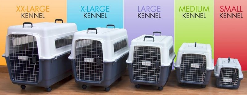 The Best Airline Approved Dog Carriers for Traveling with Pets | Herepup