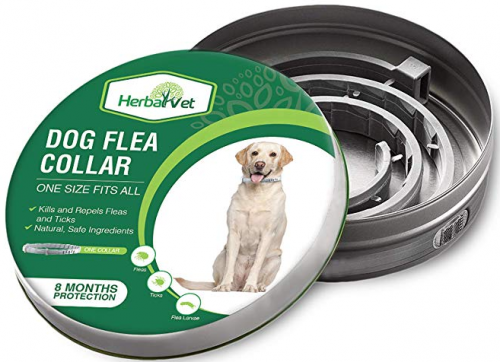 Best 7 Flea Collar for Dogs Review: Want a Flea Collar? Know the Best ...
