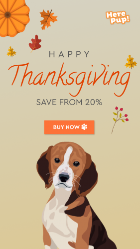 The Silver Labrador: A Shiny New Star Among Dog Breeds