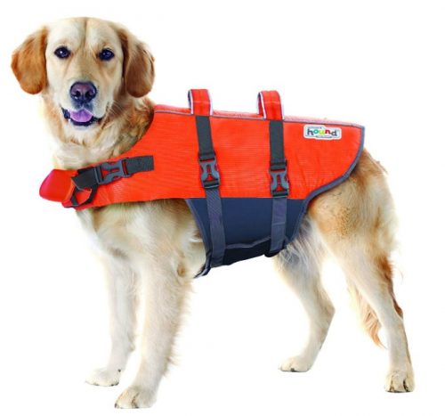 Understanding Life Jackets For Dogs: Which Is The Best? | Herepup