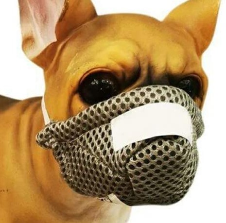 Dog Air Pollution Mask and Respirator Mask | Protect Your Pet | Herepup
