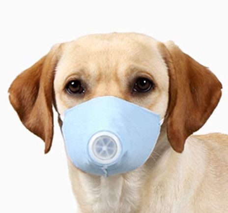 Dog Air Pollution Mask and Respirator Mask | Protect Your Pet | Herepup