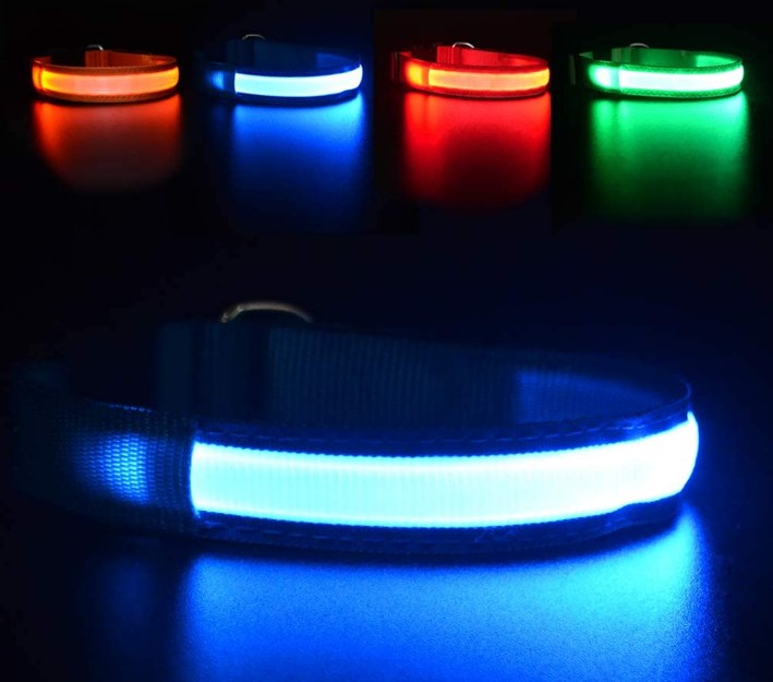The 10 Best LED Dog Collar of 2020 Reviews | Herepup