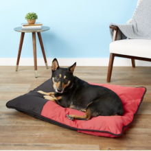 Indestructible Dog Bed: The Best Chew Resistant Dog Beds in 2020 | Herepup